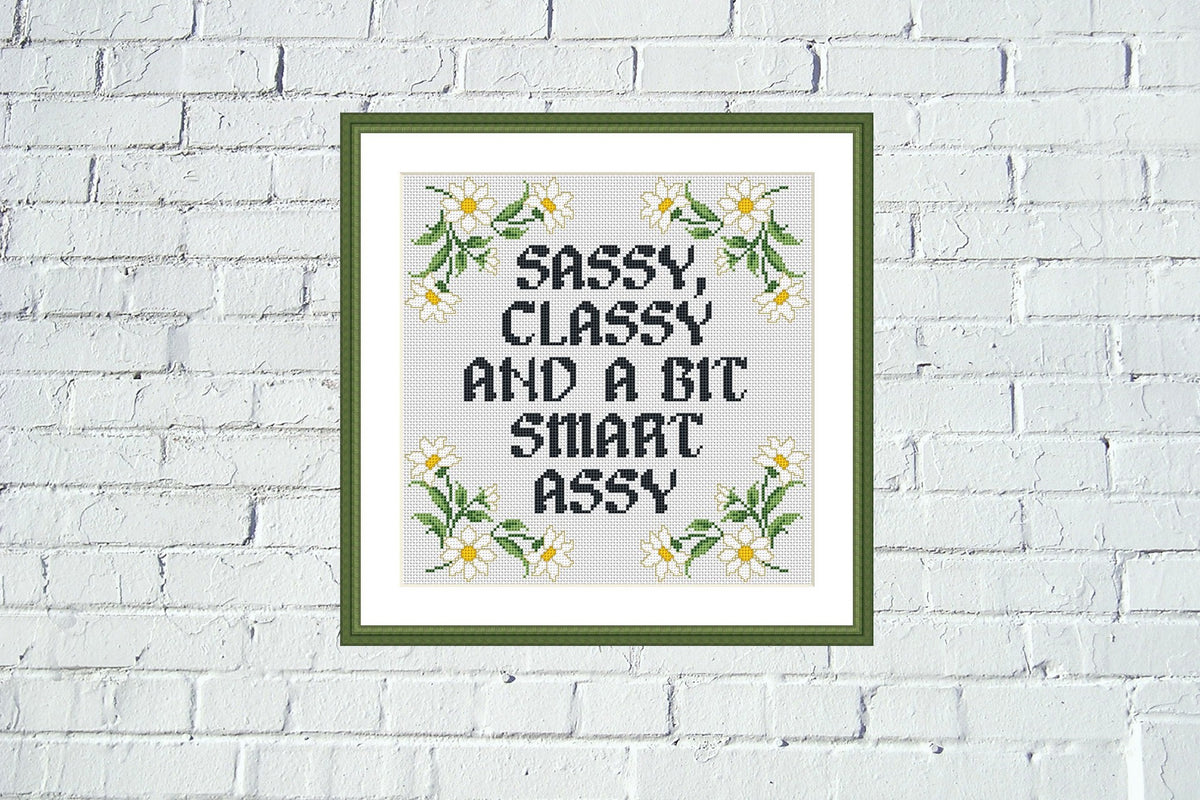 Sassy, classy and a bit smart assy funny cross stitch pattern – JPCrochet