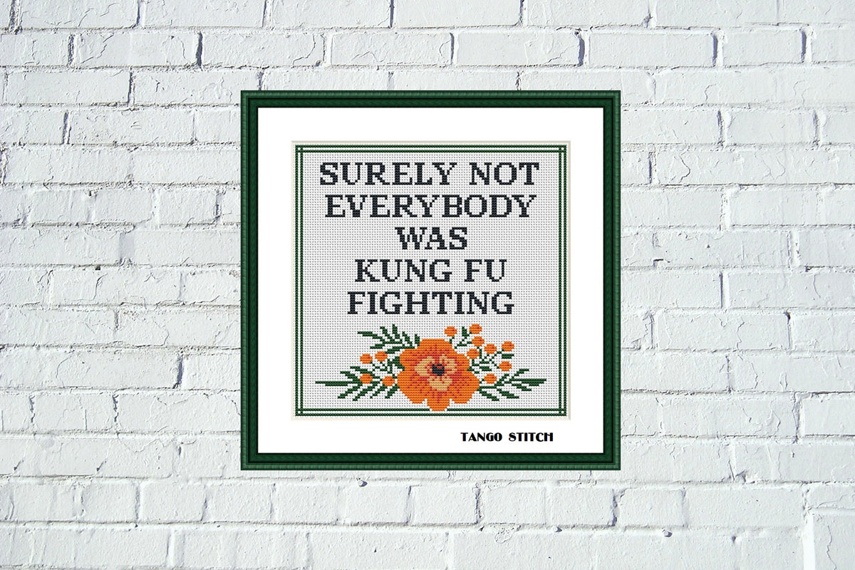 Surely not everybody was KUNG FU fighting funny cross stitch pattern ...